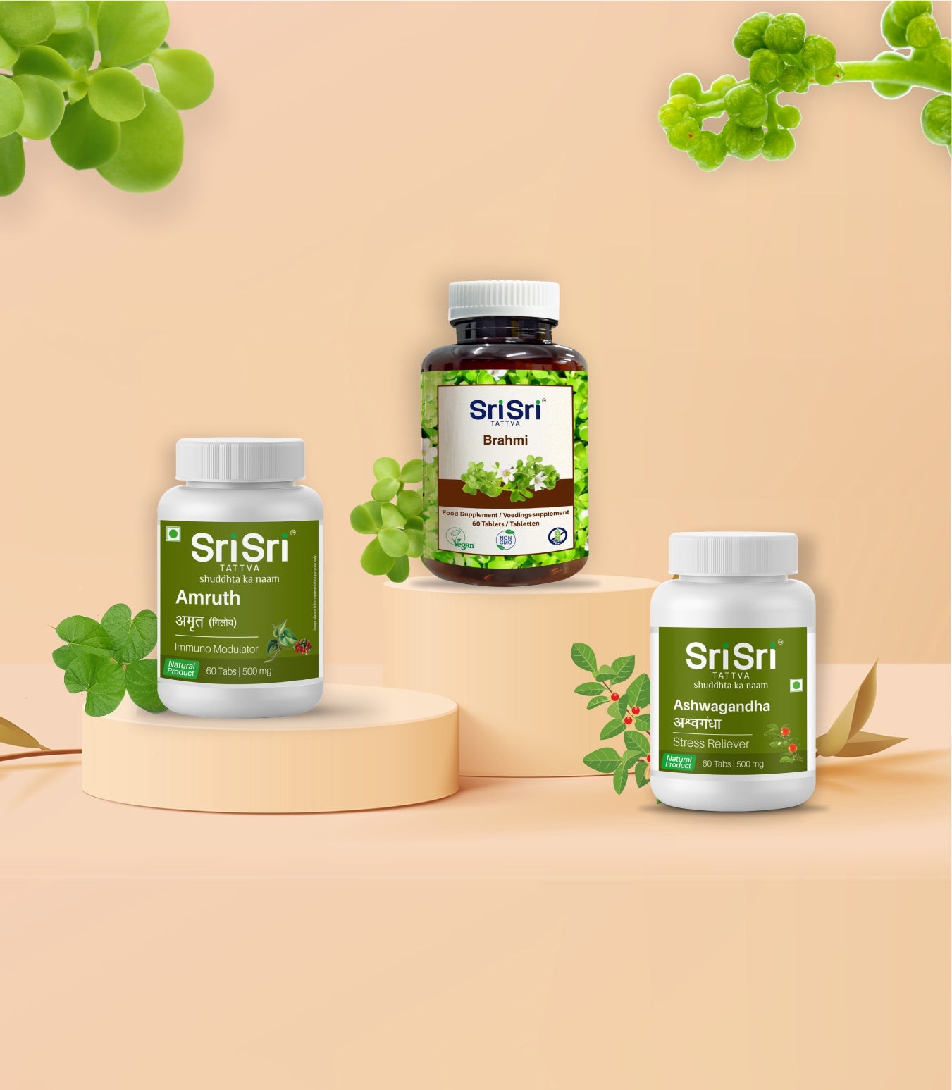 Source Natural Foods and Herbal Supplements Limited – Source Naturals